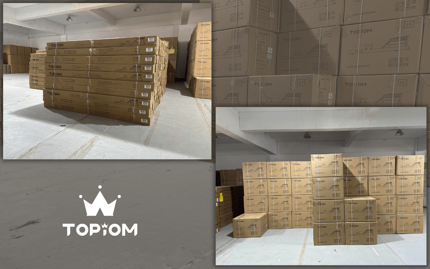 Topiom Wasser-Rudergerät V2 Pro mit TM3