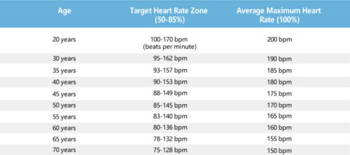 Heart Rate Training - Row Smarter Not Harder • Topiom Rowing Machine ...