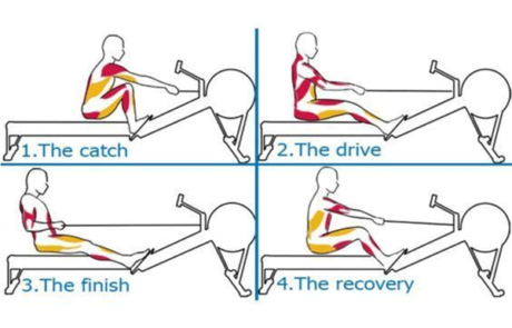 How to Avoid Rowing Machine Workout Induced Butt Pain [Easy Fixes ...