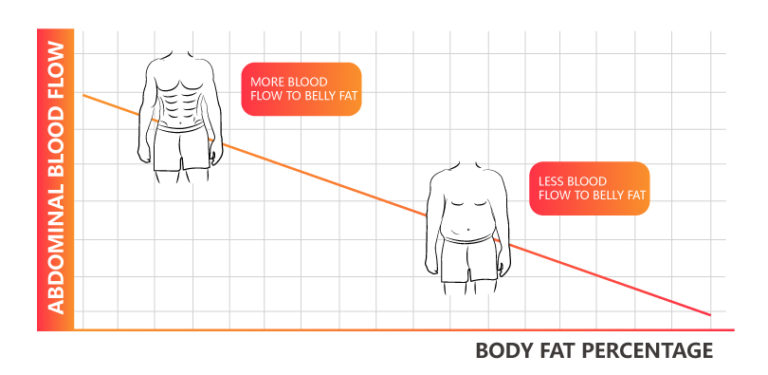 How to Row Belly Fat OFF and Reduce Fat-induced Health Risk? • Topiom ...